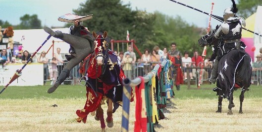 Jousting Displays » Home