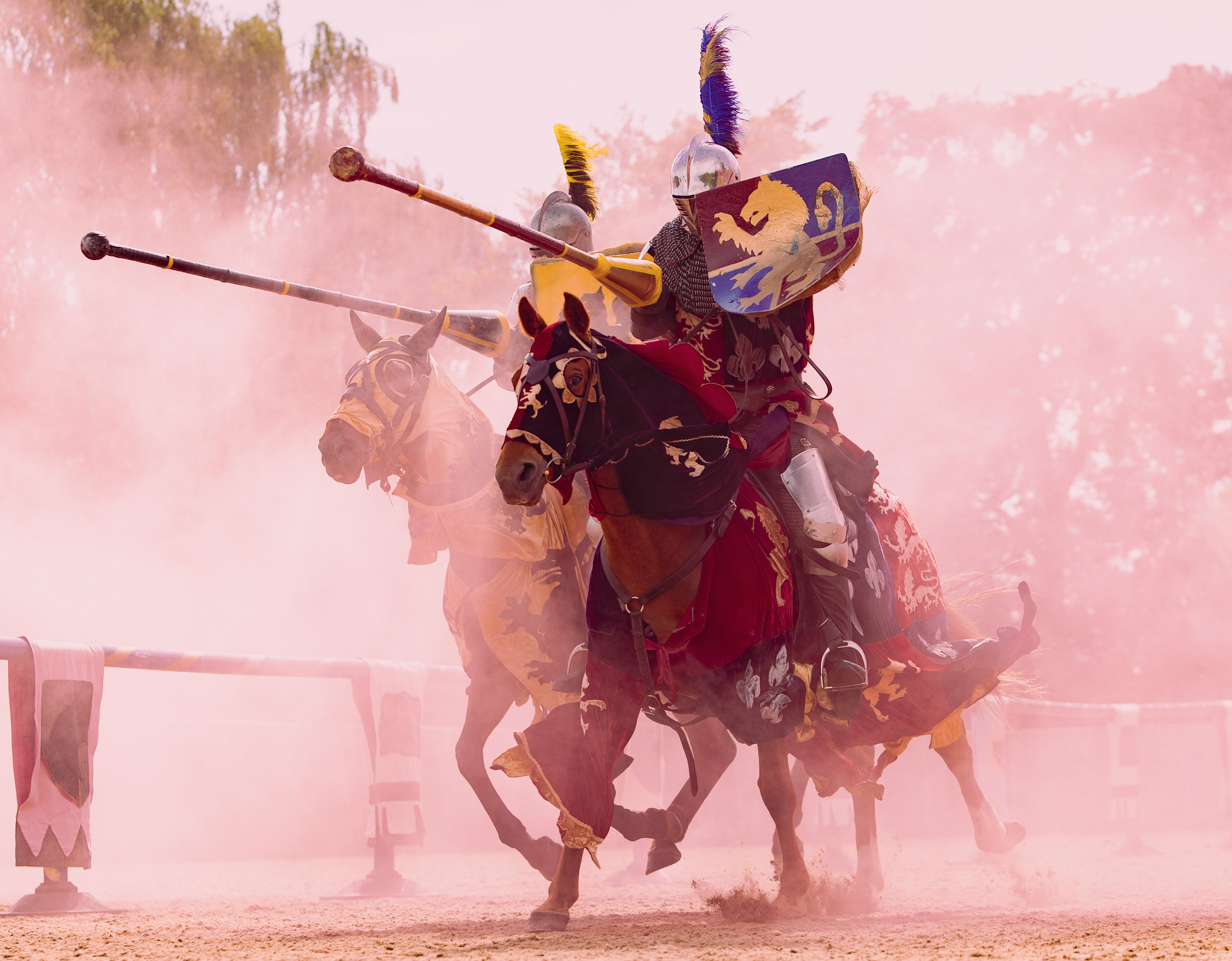 Jousting And Stunt Displays » Shows And Entertainment » Home