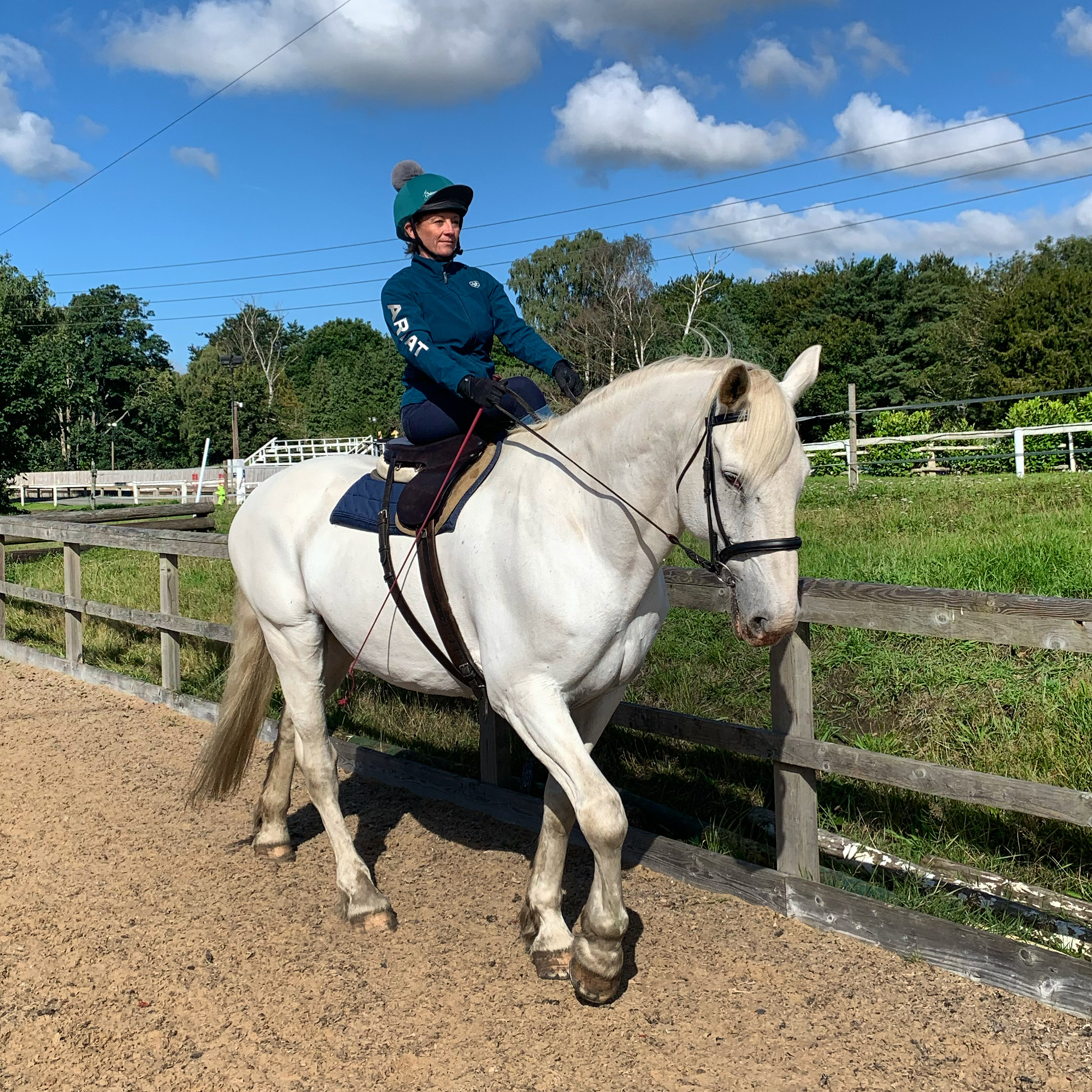 Side Saddle » Tuition And Courses » Home