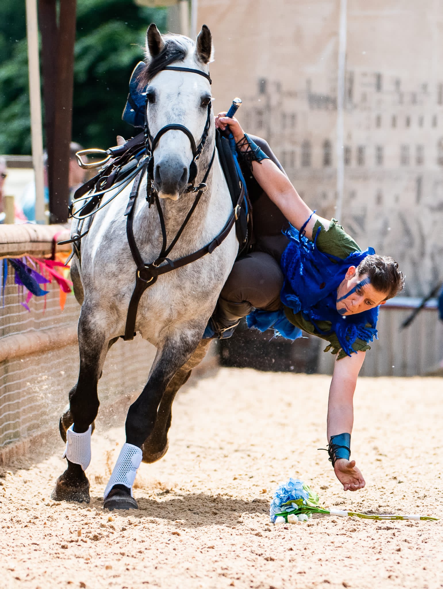 Stunt Andtrick Riding » Tuition And Courses » Home